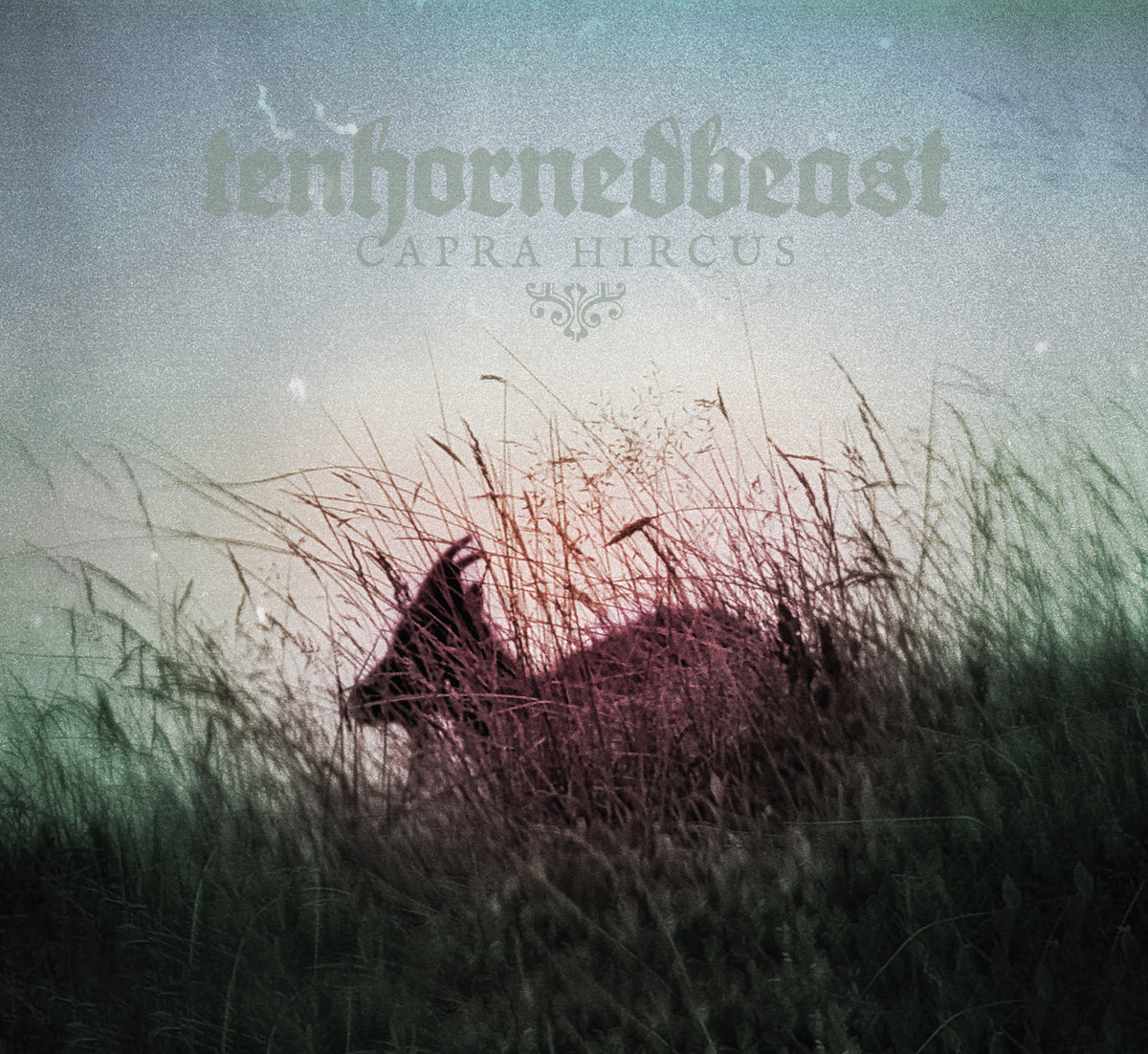 TenHornedBeast – “Capra Hircus” – NOmelody Magazine